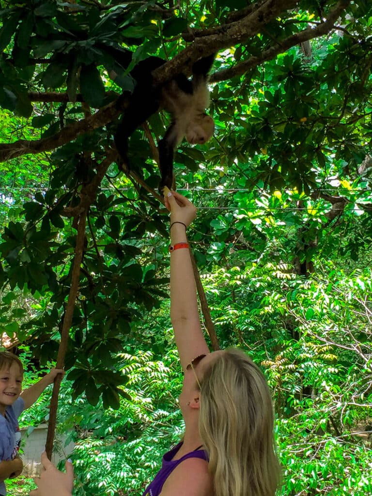 Ziplining in Costa Rica | The Ultimate Guide | The Wandering Tourist